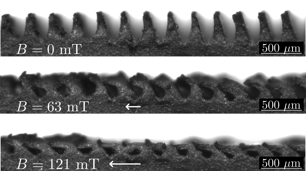 Magnetic Soft Matter Ijs Department Of Complex Matter